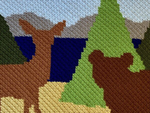 How to Crochet the Mini-C2C Stitch – Change Path Crochet