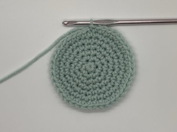 The Secret to Making a Flat Circle with Single Crochet - Change Path ...